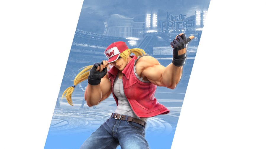Super Smash Bros Ultimate Terry Costume 3 Wallpapers - Cat with Monocle