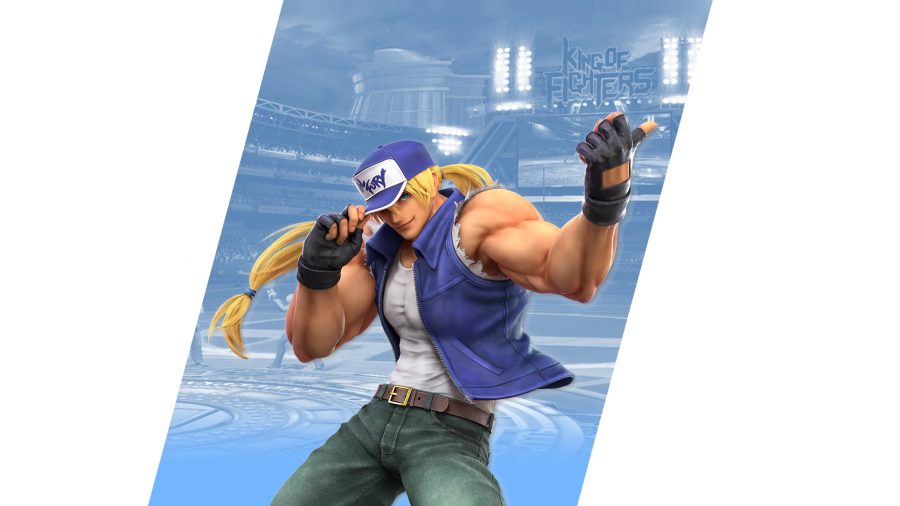 Super Smash Bros Ultimate Terry Costume 3 Wallpapers - Cat with Monocle