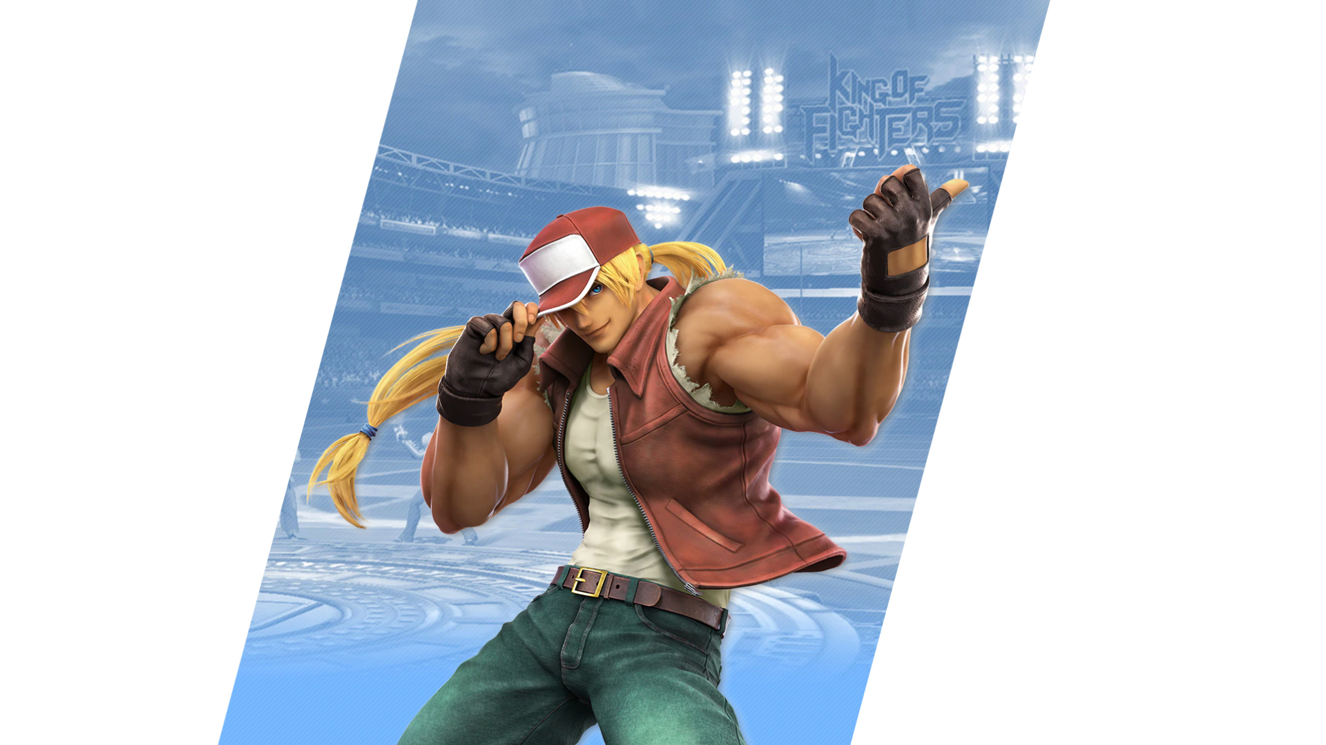 Super Smash Bros Ultimate Terry Costume 8 Wallpapers - Cat with Monocle