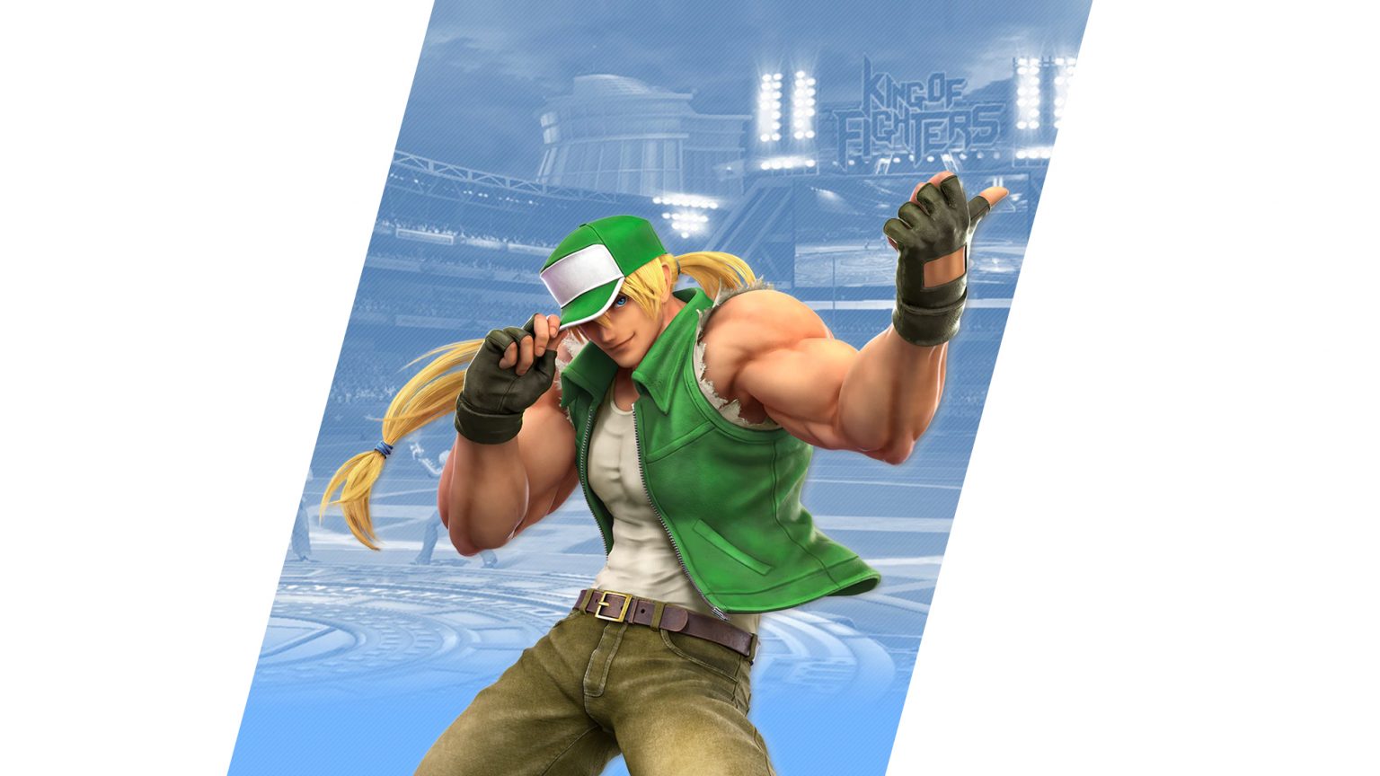 Super Smash Bros Ultimate Terry Wallpapers - Cat with Monocle