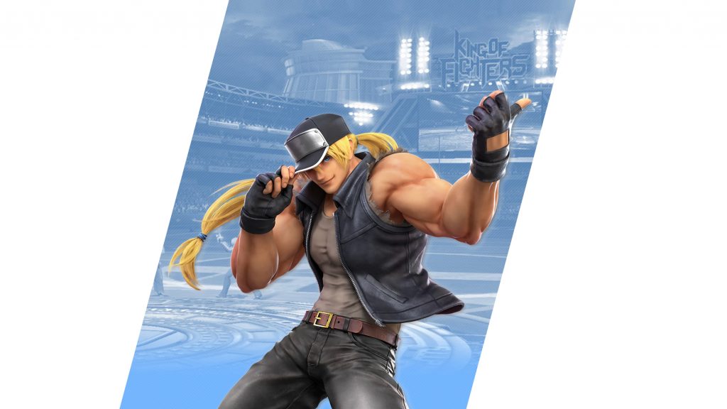 Super Smash Bros Ultimate Terry Costume 3 Wallpapers - Cat with Monocle