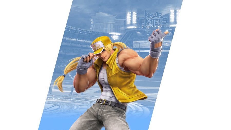 Super Smash Bros Ultimate Terry Costume 3 Wallpapers - Cat with Monocle