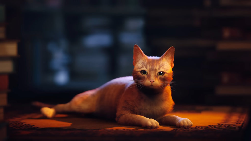 Stray Gameplay Showcases Life as a Cat - Cat with Monocle