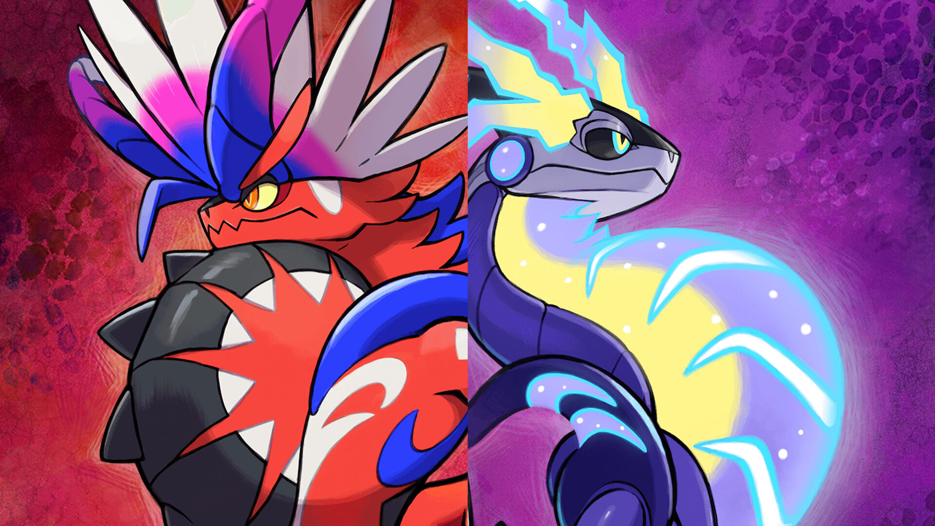 Pokémon Scarlet & Violet Miraidon Wallpaper - Cat with Monocle