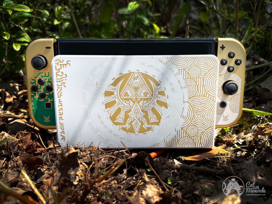 Closer Look at the Nintendo Switch The Legend of Zelda: Tears of the ...